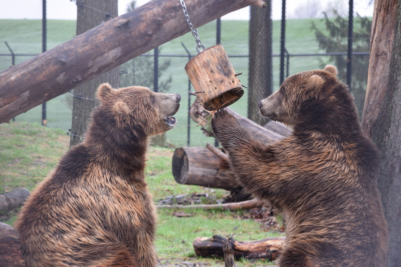 Wildwood Zoo | Marshfield, Wisconsin | State Trunk Tour